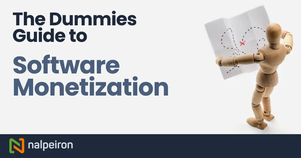 The Dummies Guide to Software Monetization